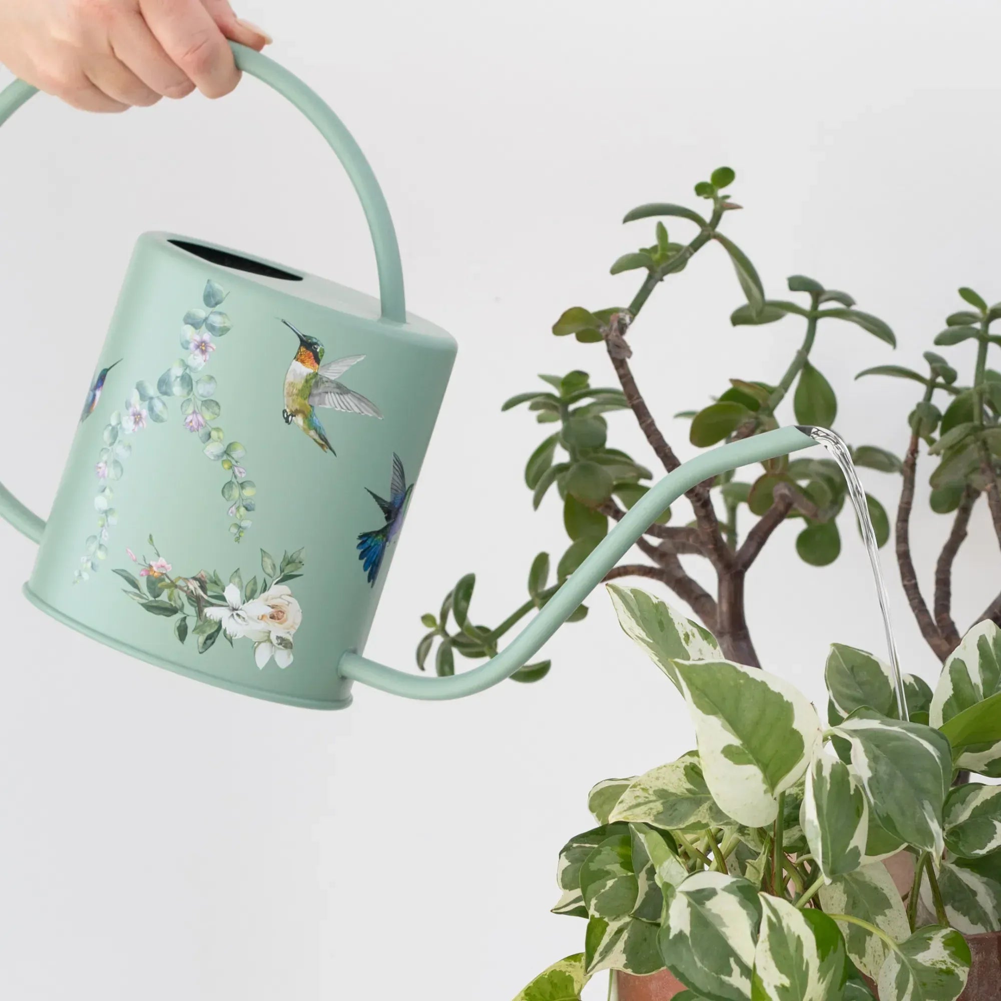 Indoor Watering can, Hummingbird design, Blue – GraceandAugust